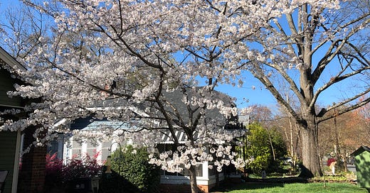 The Writing Shed with Tommy Tomlinson | Substack