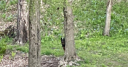 J.F. Riordan; Reflections on a Life in Exile | J. F. Riordan | Substack