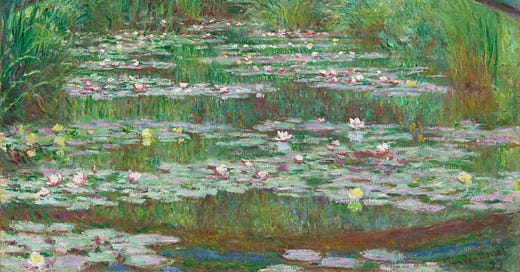 Driftwood and Grace | Melanie Williams de Amaya | Substack