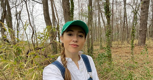 The Daffodil Post | Emma Shaye | Substack