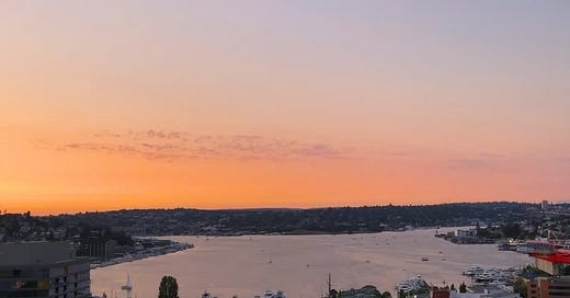 The Young Learners 📖 | Substack