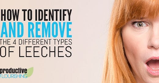 How to Identify and Remove the 4 Different Types of Leeches