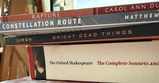 Closely Reading | haley larsen, phd | Substack