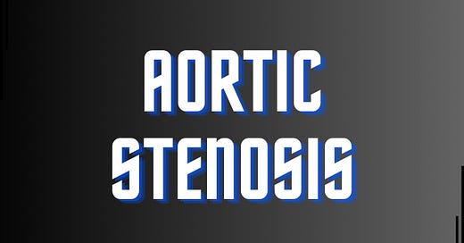 The Echo Journal | Aram K. | Substack