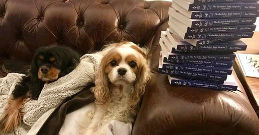 A Charmed Life by Teri Wilson | Teri Wilson Romance | Substack