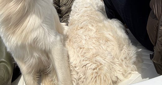 Madison Spain Club | Blakely Spoor | Substack