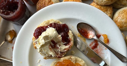 CLASSIC FAT SCONES AND A SAVOURY CHEESE, CHIVE AND BUTTERMILK SCONE