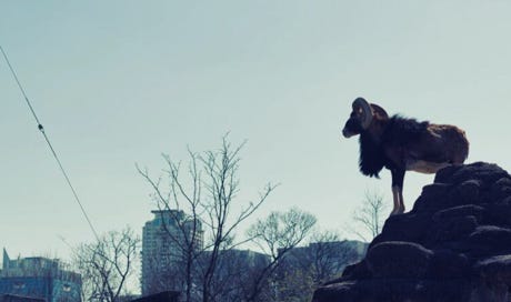 Jazz of Japan | Brian McCrory | Substack