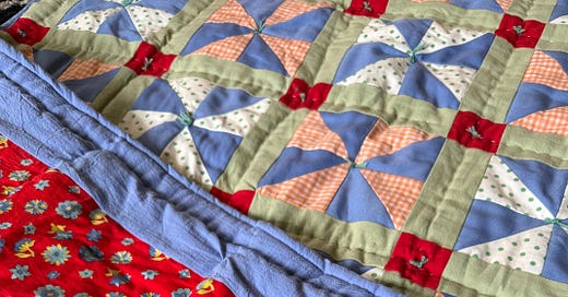 The Wahlflower | Phoebe Wahl | Substack