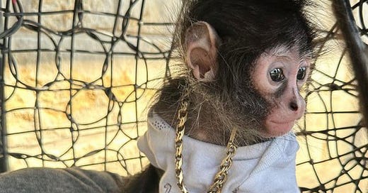 The Veritas Daily | Jonathon M. Seidl | Substack