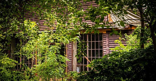 Free Radio Rulo | Substack