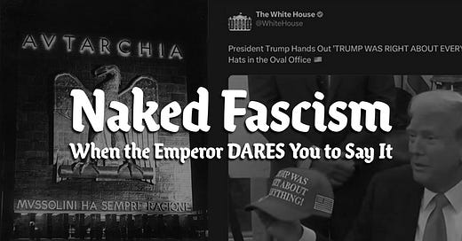 MindWar: The Psychological War on Democracy | Jim Stewartson | Substack