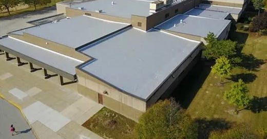 Ray Hanania's Syndicated Columns | Substack