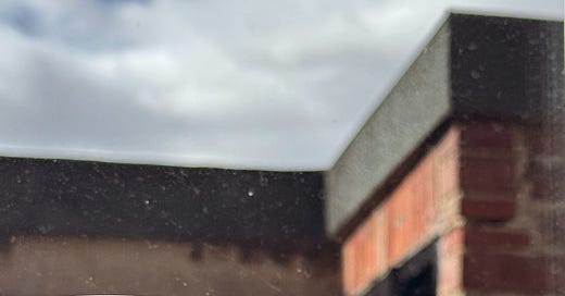 COOK'S INSTINCT by @anthonyshock | Anthony O'Shaughnessy | Substack