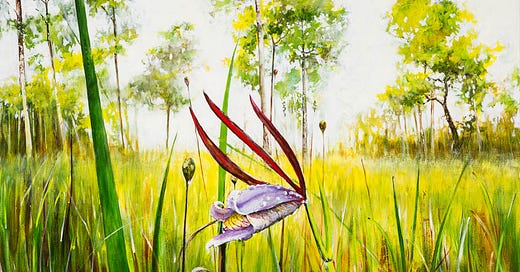 Jim’s Substack | Jim Draper | Substack