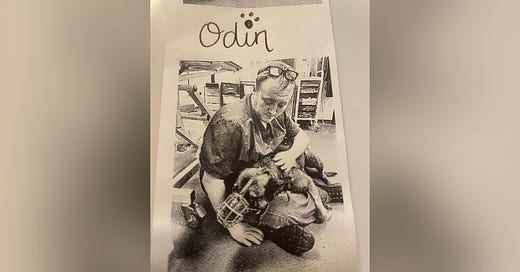 ESN Report | Substack