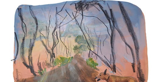 Studio Diaries | Sam Ashley | Substack