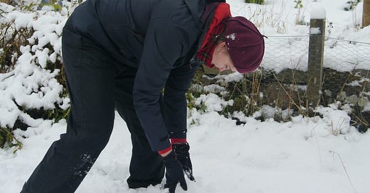 The Painted Caravan | Isabella Ann | Substack