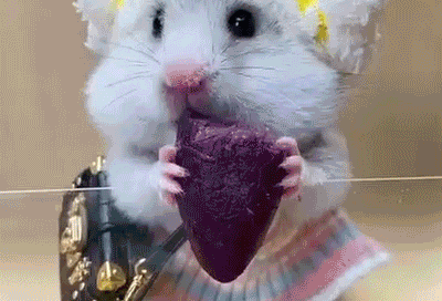 Martini’s Glambassadorial Fembassy | Martini Glambassador | Substack