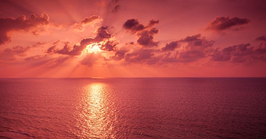 Asha’s Substack | Asha Logos | Substack