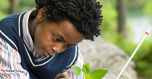 What are constrained and unconstrained skills?