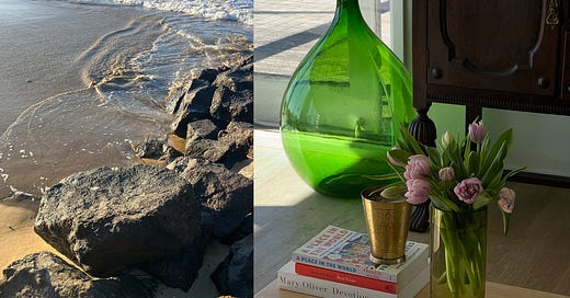 In appreciation | Clara McKay | Substack