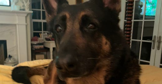 J.F. Riordan; Reflections on a Life in Exile | J. F. Riordan | Substack