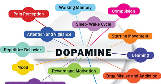 Brains and AI | Terry Sejnowski | Substack