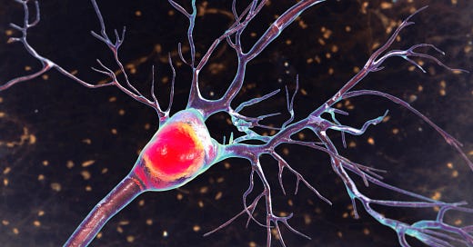 Starts With A Bang | Substack