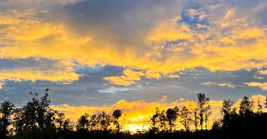 Minor Fossil | Substack