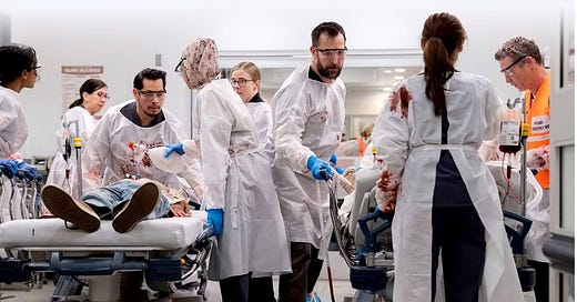 correio do sul do sul | renata | Substack