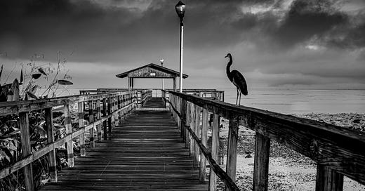 Poetic Outlaws | Substack