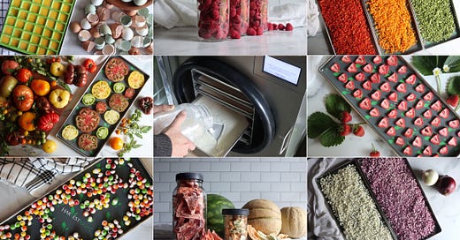 Practical Self Reliance | Ashley Adamant | Substack