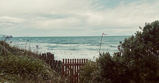 Domestic Detail | Leah McFall | Substack