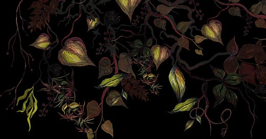 Curious About Everything | Jodi Ettenberg | Substack