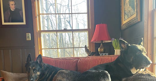 J.F. Riordan; Reflections on a Life in Exile | J. F. Riordan | Substack