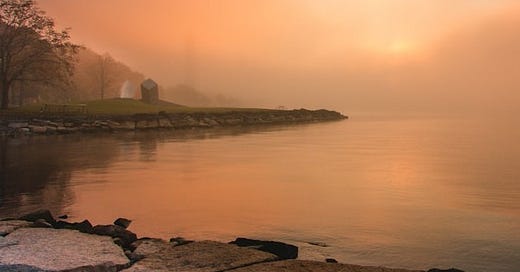 Aging Well Newsletter | Janice Walton | Substack