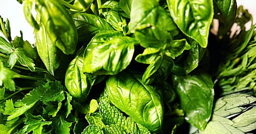 The Department of Salad: Official Bulletin | emily nunn | Substack