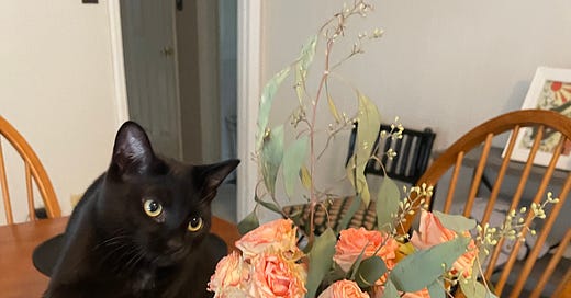 Angela’s Substack | Angela Roberson | Substack