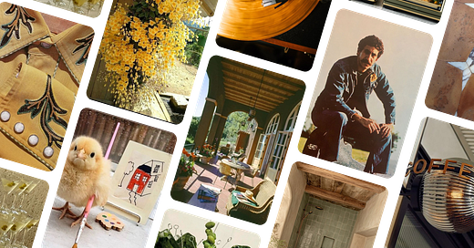 The Cabinista | Peyton Davies | Substack