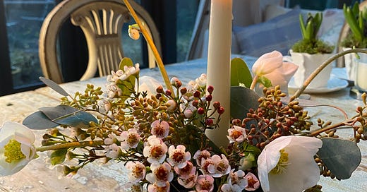 The Seedling by Willow Crossley | Substack