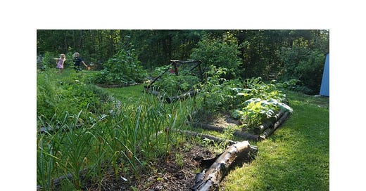 Backyard Farming Connection: Homesteading and Gardening | Gretchen at Backyard Farming | Substack