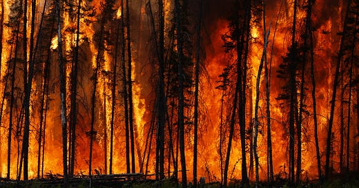 Dan Rodricks Commentary | Substack