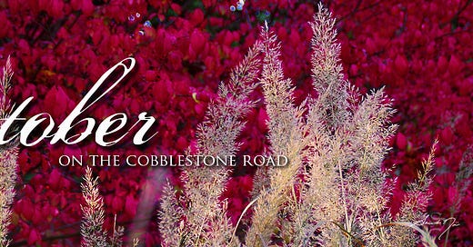 On The Cobblestone Road | Sara A. Noë | Substack