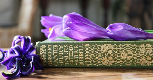 Hearthstone Fables | Kristin Haakenson | Substack