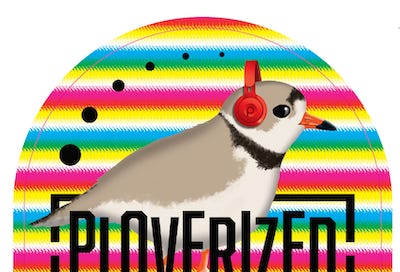 This Week in Birding | Bob Dolgan | Substack