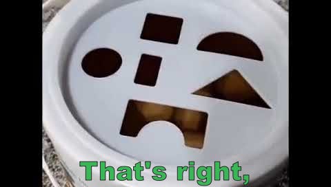 Bite code! | Substack