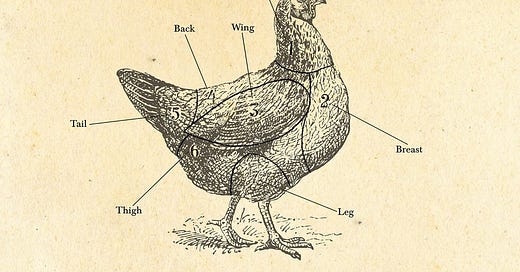 Cold Antler Farm | Jenna Woginrich | Substack