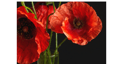 Two Ways News | Substack