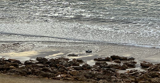 In appreciation | Clara McKay | Substack